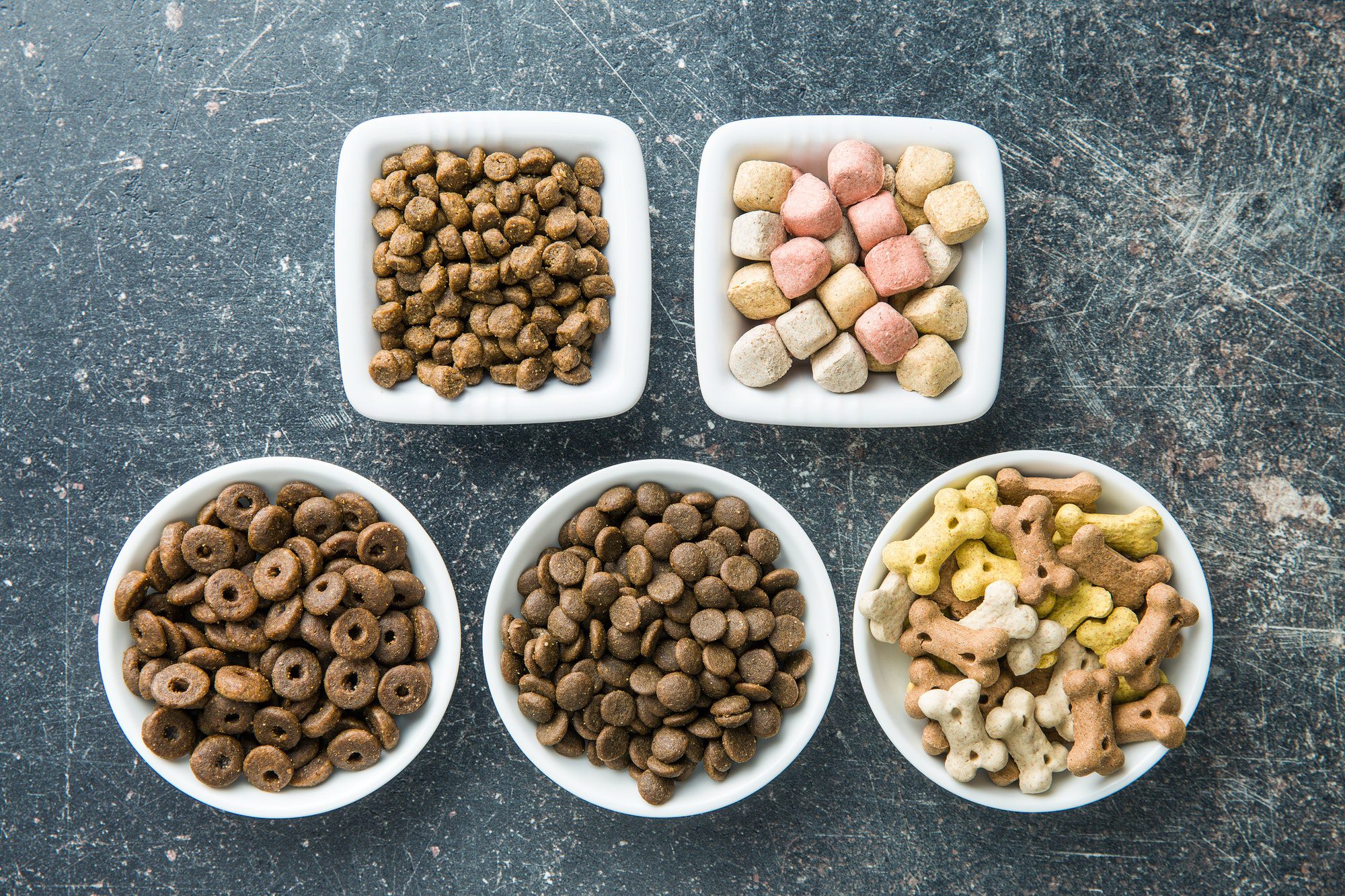 6 Common Food Allergens For Dogs Top Veterinary Advice 6 Common Food Allergens For Dogs Top Veterinary Advice