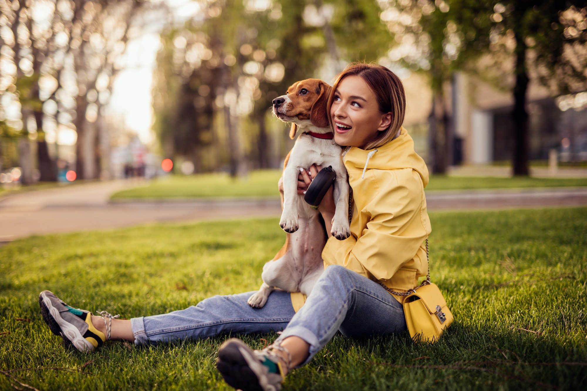 5 Essential Tips To Make Your Dog Friendly 5 Essential Tips To Make Your Dog Friendly