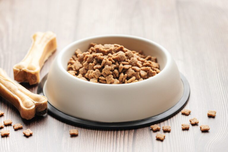 Recognizing Unsafe Dog Food Ingredients - A Beginner’s Guide