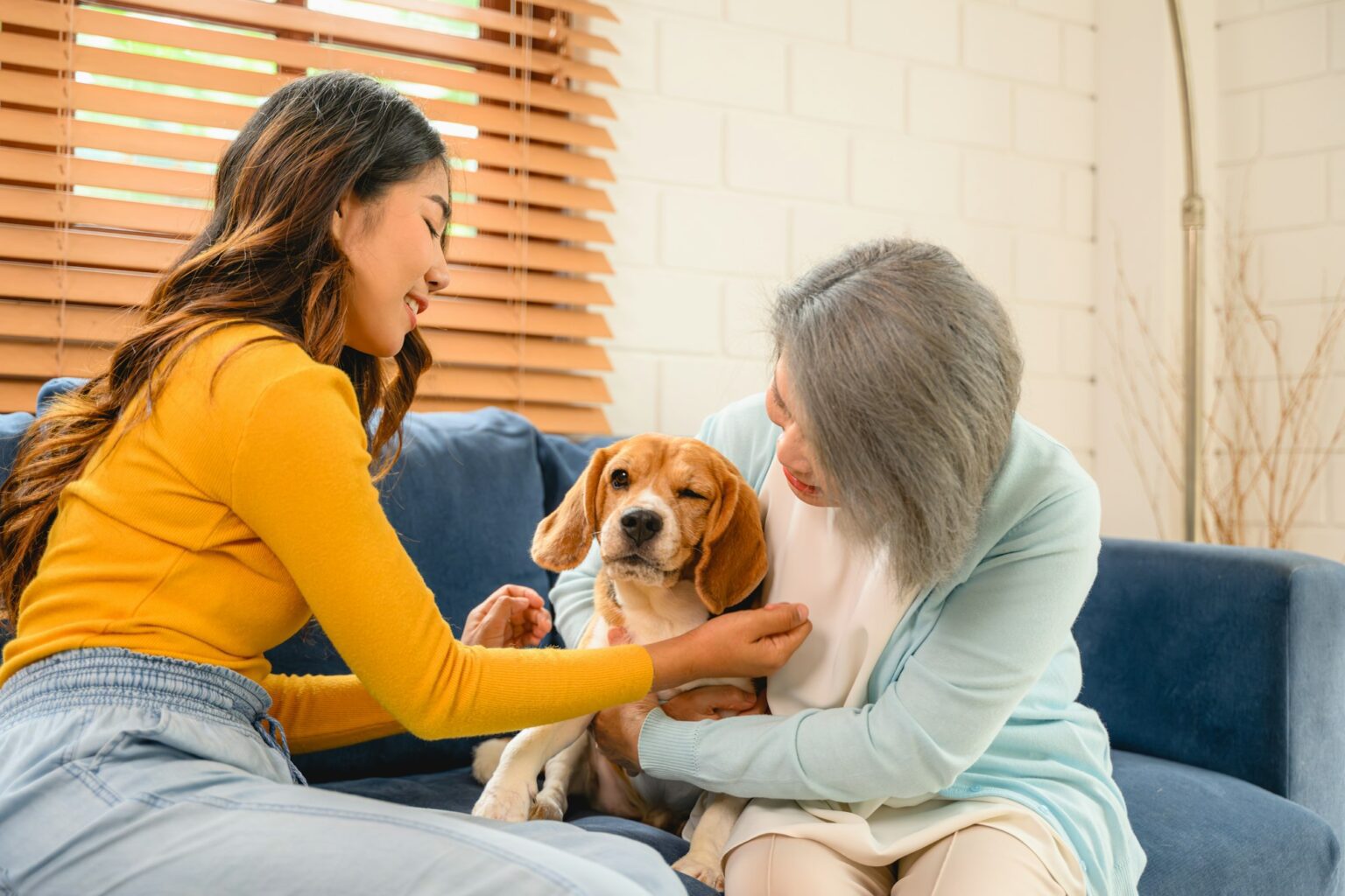 Understanding Your Pet's Behavior: What Are They Trying to Tell You?