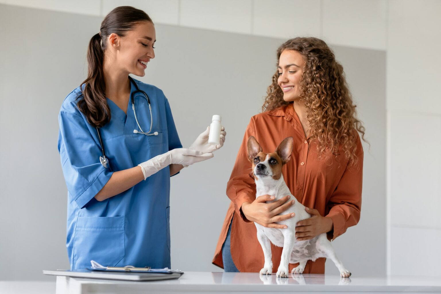 Understanding The Benefits Of Pet Boarding In Hollymead, Virginia