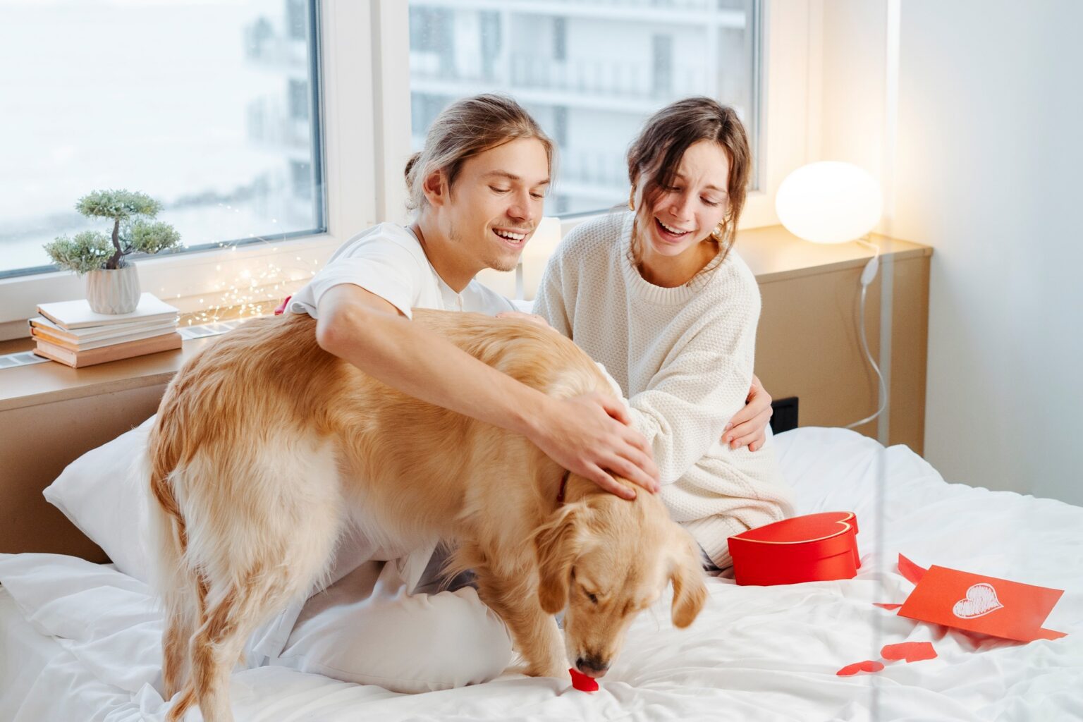 How To Show Love To Your Pet This Valentine’s Day?